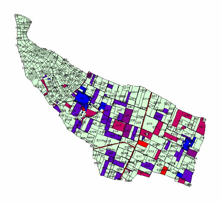 Cadastral Mapping Cadastral Mapping